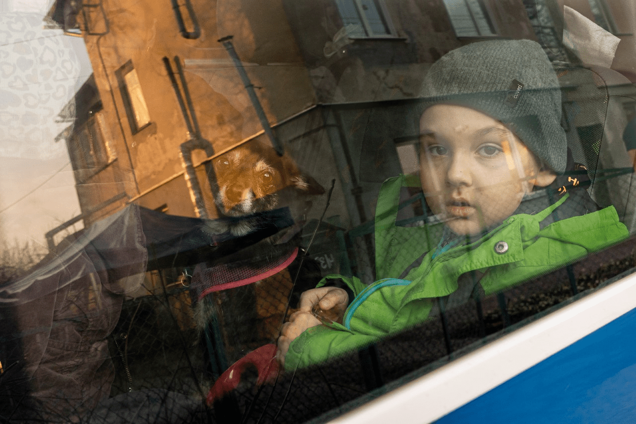 Local documentary photographer debuts ‘Sanctuary: Animal Rescue During ...