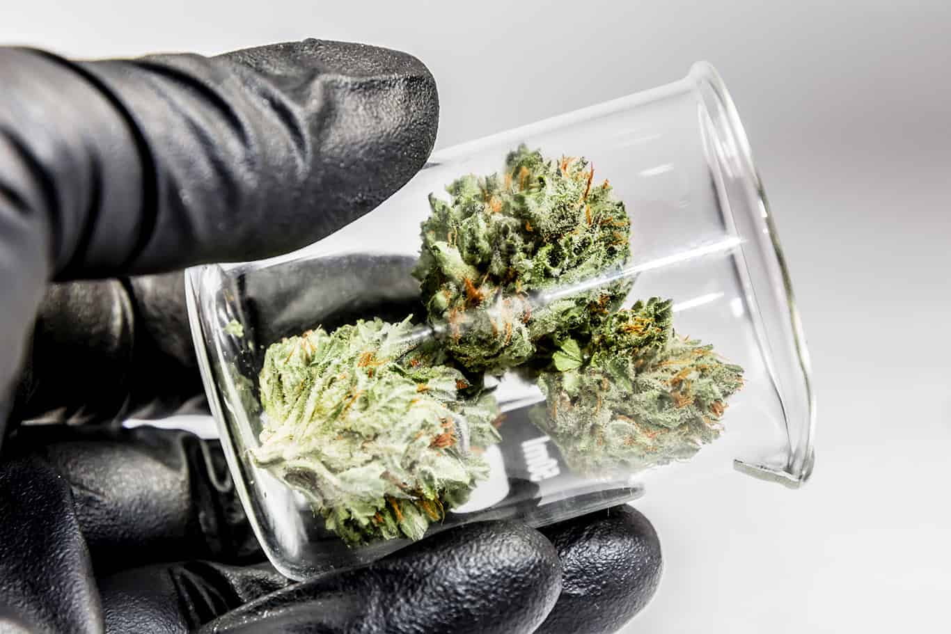 Story Cannabis Company opens Phoenix location amid national expansion ...