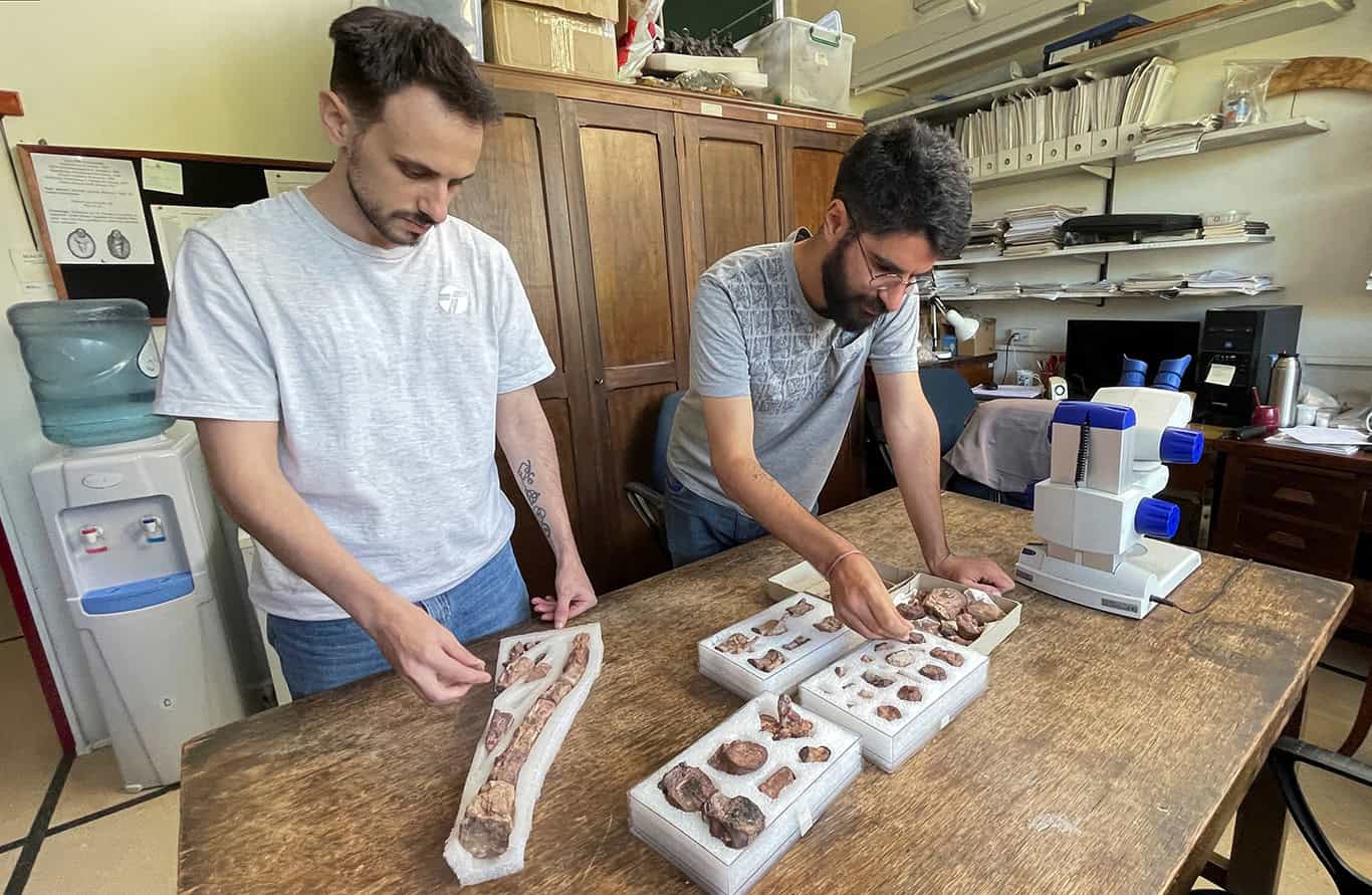 Argentine scientists find speedy 90-million-year-old herbivore dinosaur ...