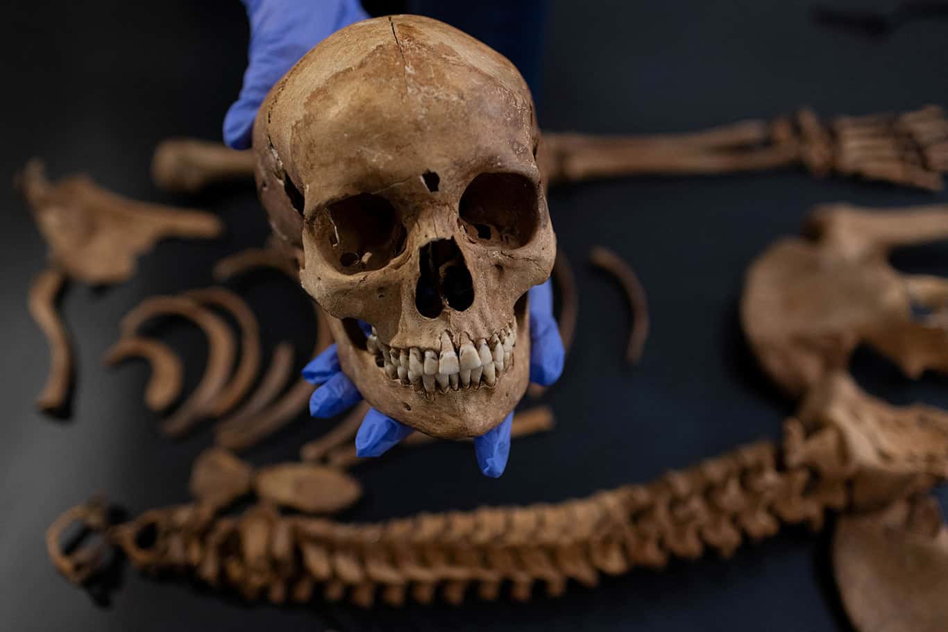 Scientists rebuild the face of 400-year-old Polish 'vampire' - Arizona ...