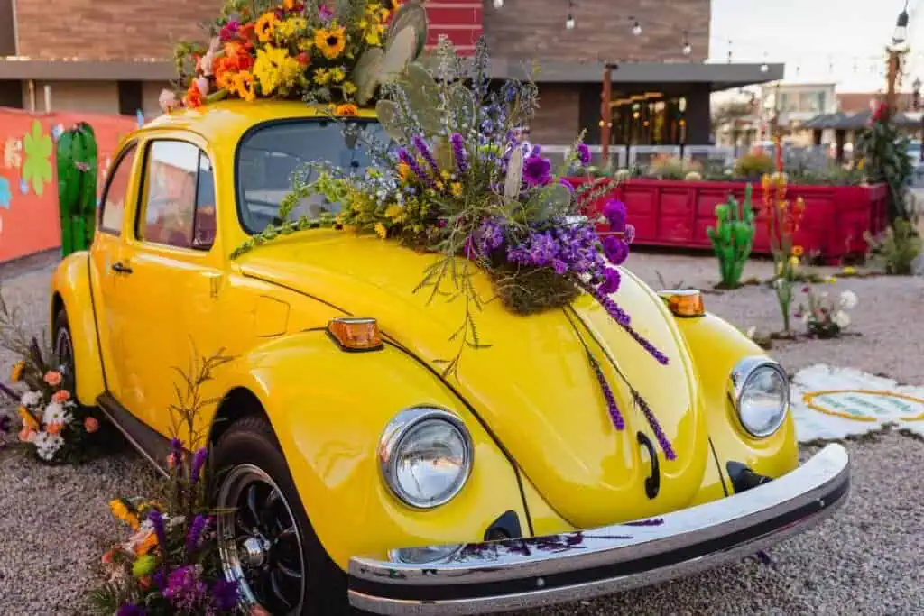 Tempe Blooms event returns this weekend in downtown district - Arizona ...