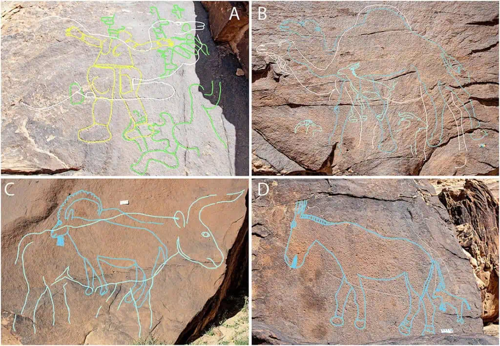 Ancient Arabian desert rock art showing camels marked water sources ...